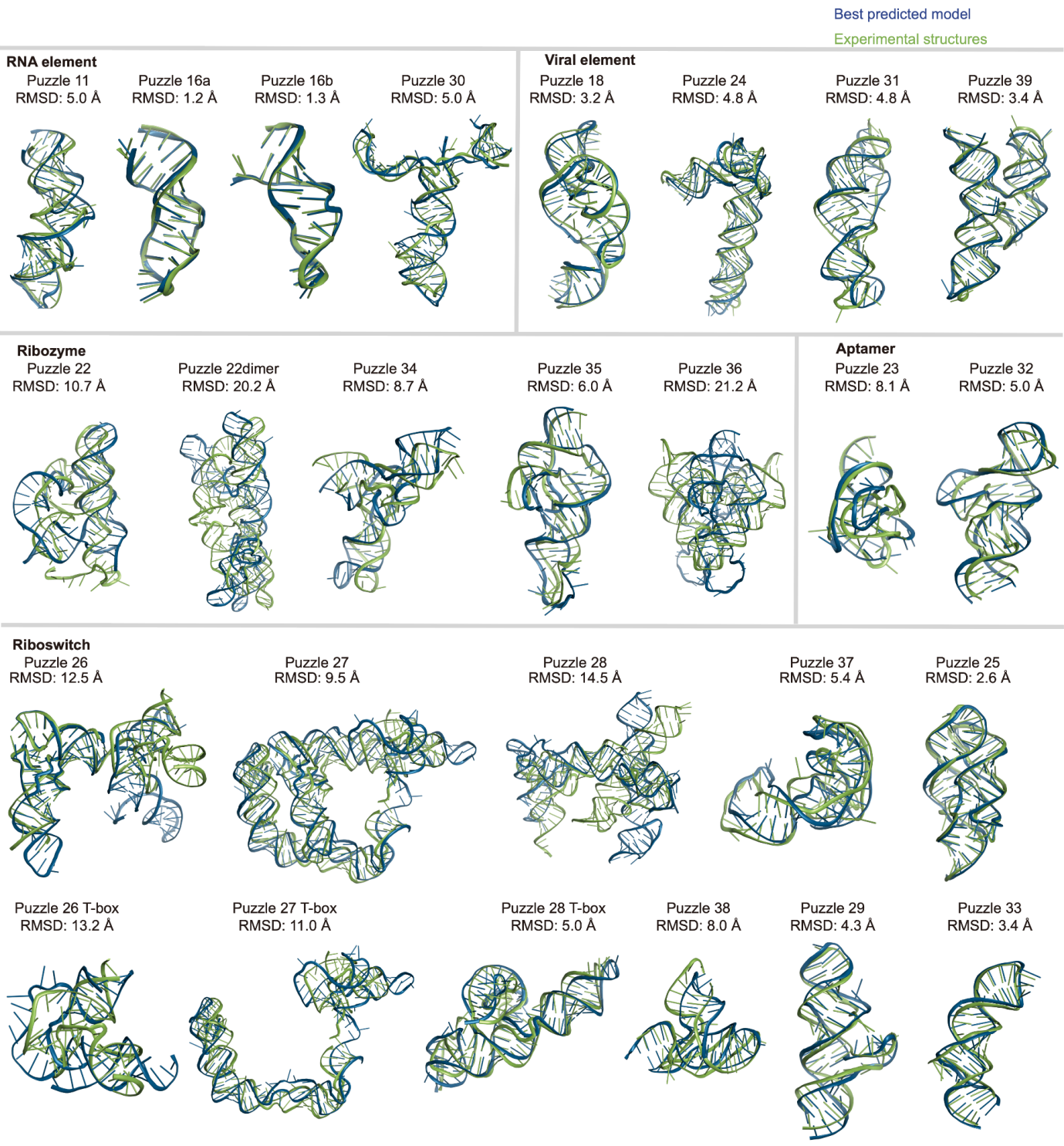 广医-广州生物院联合生科院科研团队发布RNA三维结构预测评估研究成果-广州医科大学